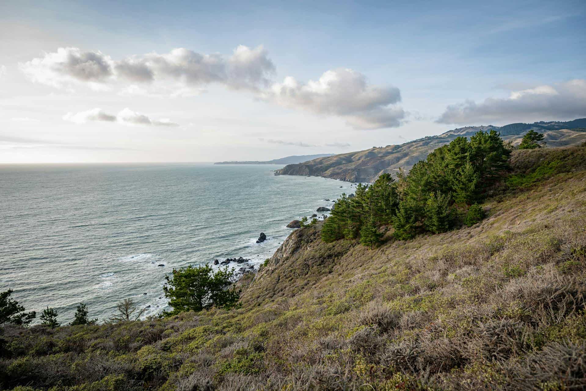 Micronesian Kava and Its Cultural Footprint in the Pacific – Shot of Joy
